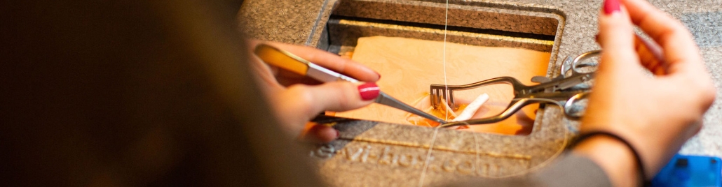 Vascular & Endovascular Surgery Society (VESS)